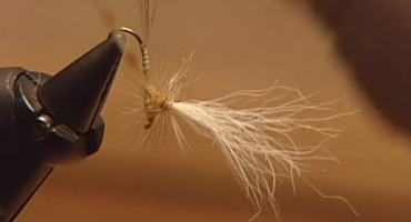 Sport Fishing on the Fly | SFOTF - Home