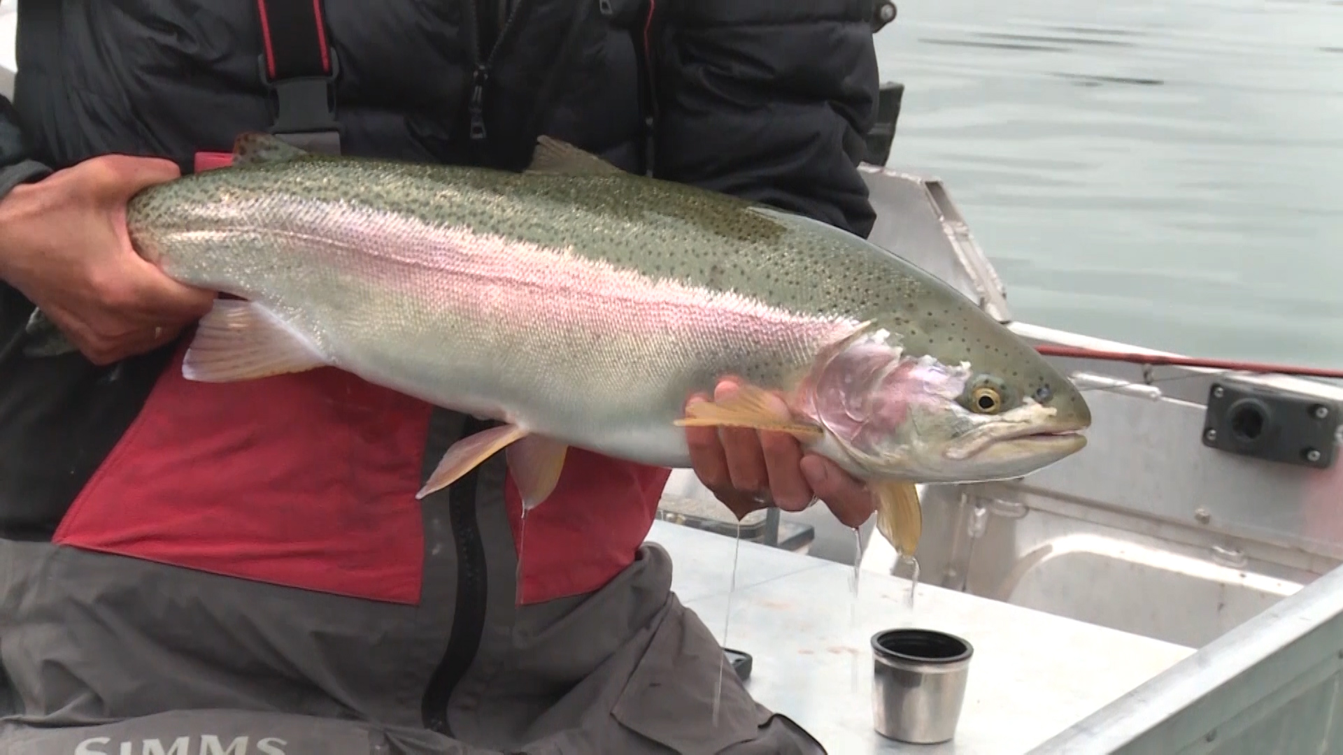 Sport Fishing on the Fly | SFOTF - Home