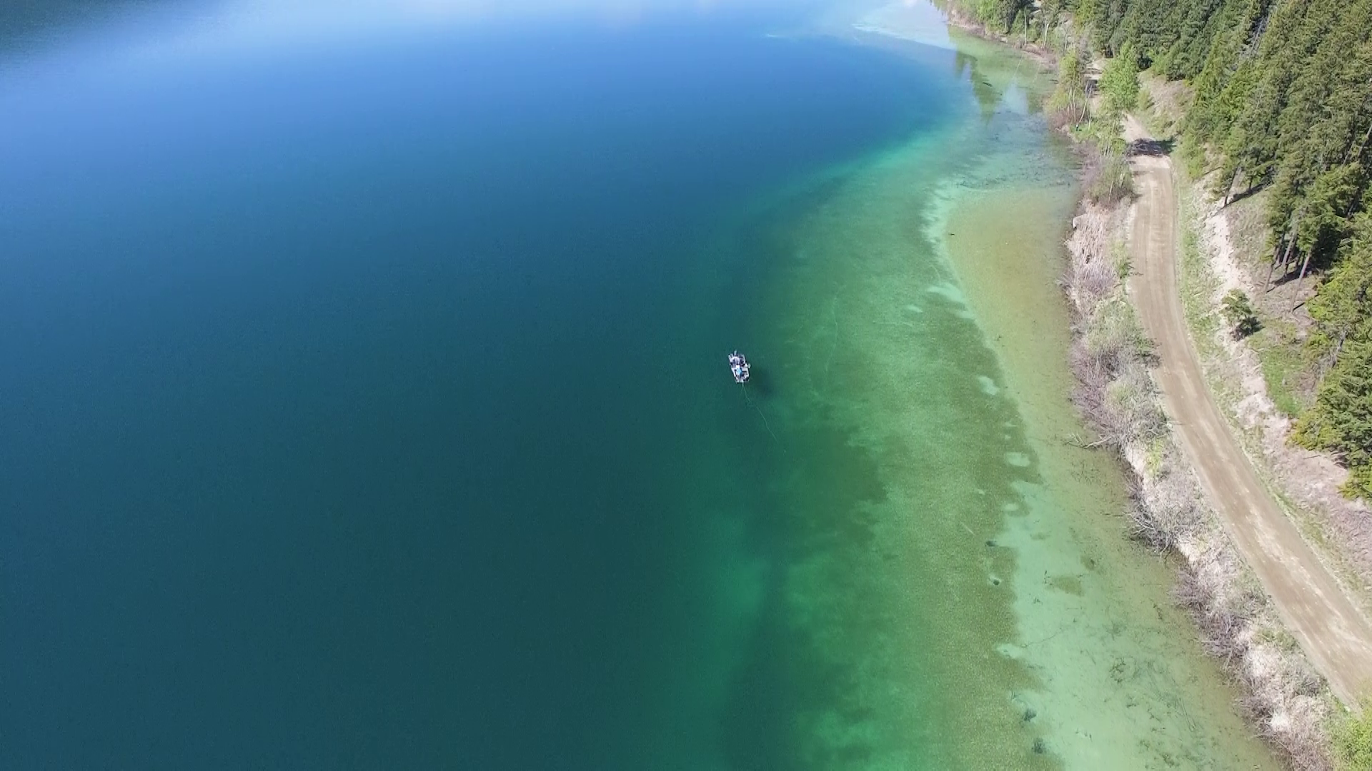 Sport Fishing on the Fly | SFOTF - Home